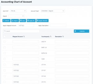 Chart of Accounting Mapping | CS Lucas