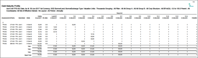 Report 1639 : Debt Maturity Profile | CS Lucas
